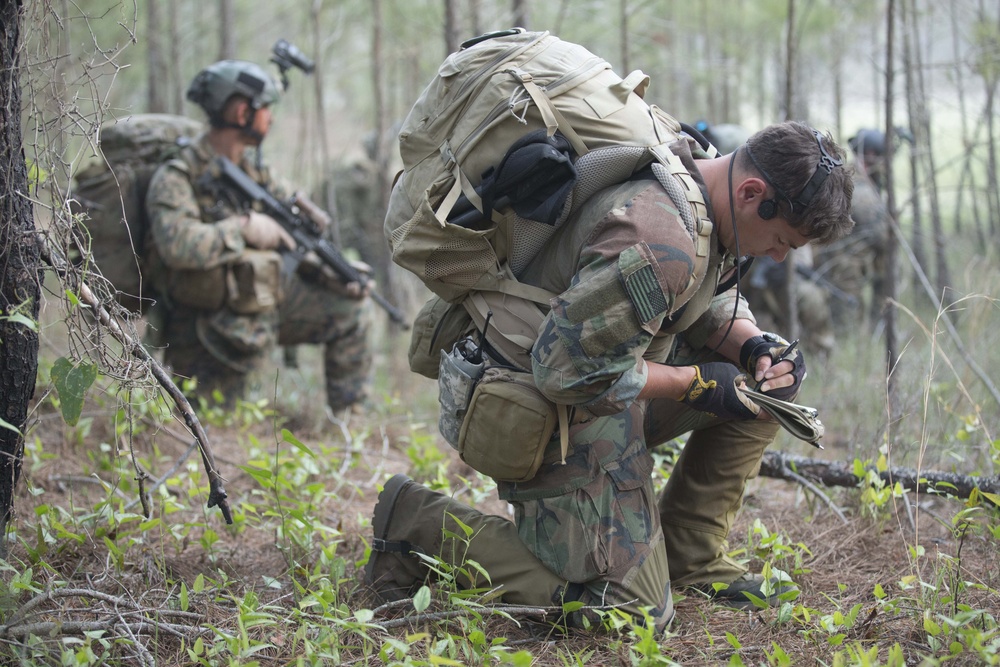 DVIDS Images Marine Corps Special Operations Command Individual