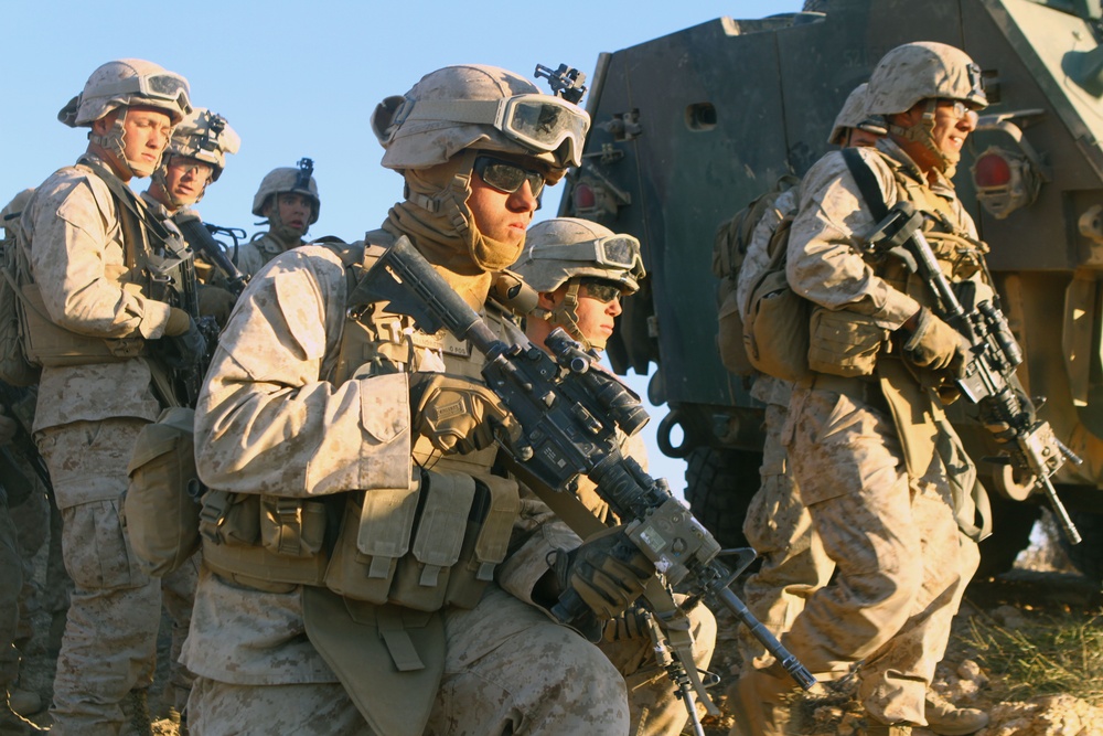 DVIDS - Images - Marines of 3rd LAR participate in Desert Scimitar ...