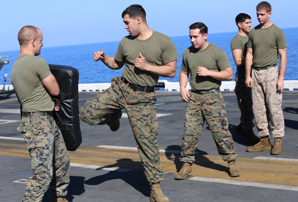 DVIDS - Images - 22nd MEU Marines progress MCMAP skills [Image 1 of 3]