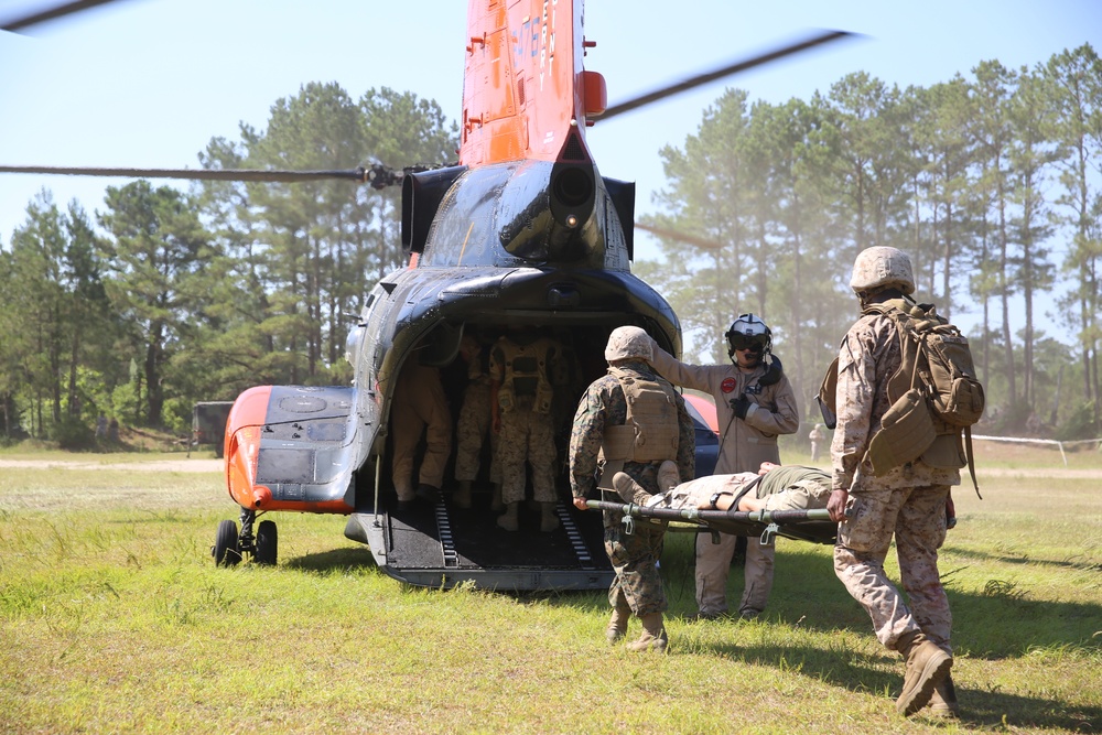 DVIDS - News - 2nd Medical Battalion conducts mass casualty drills
