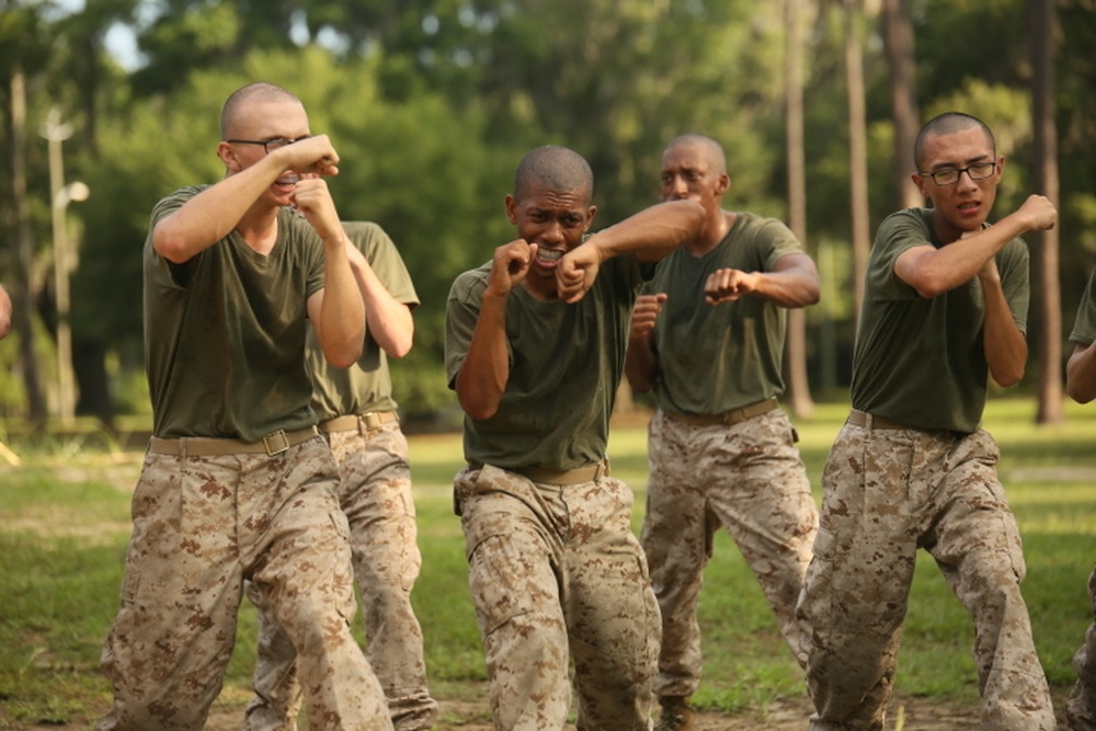 DVIDS - Images - Photo Gallery: Marine recruits attempt daunting ...