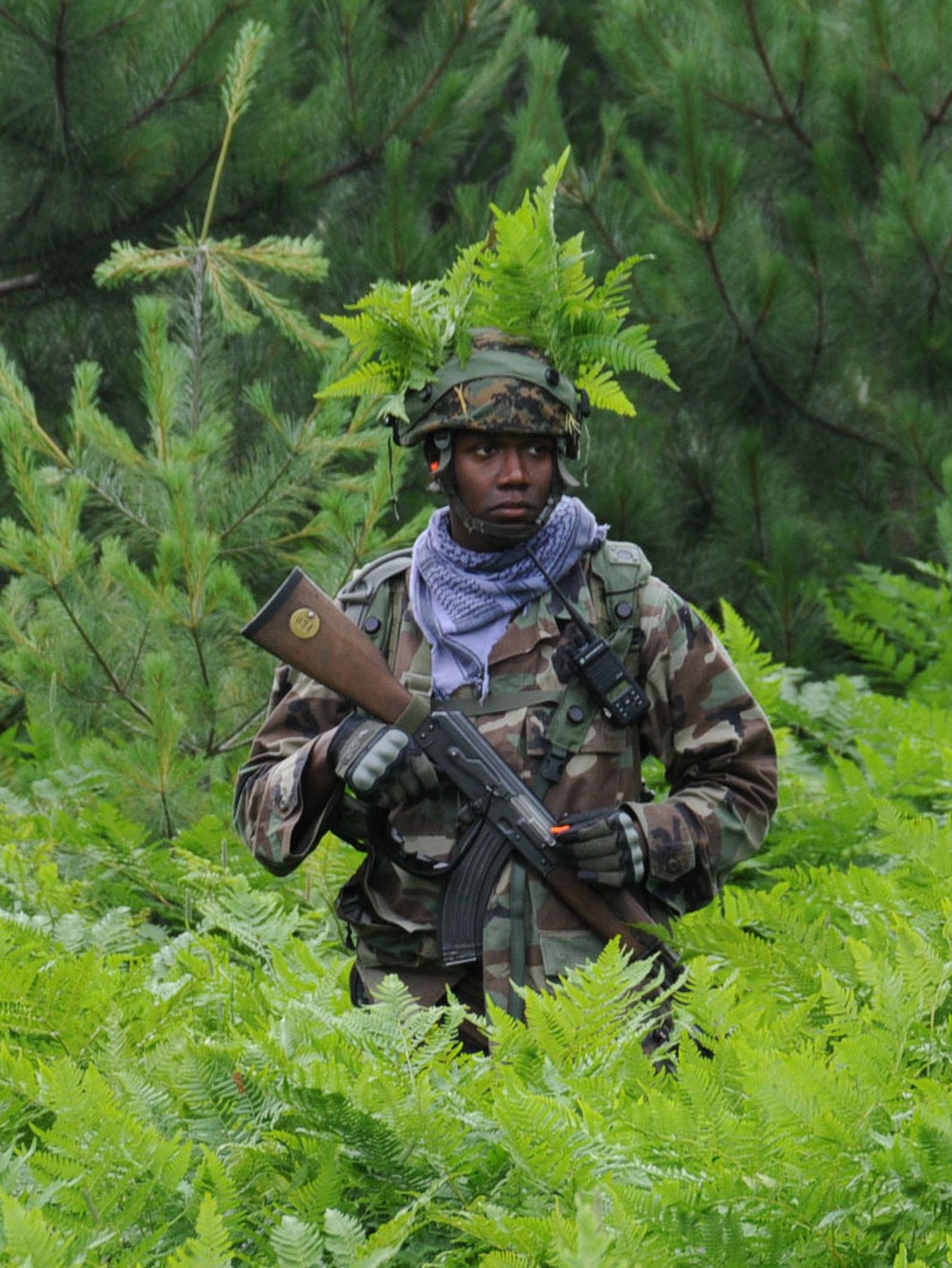 DVIDS - Images - OPFOR Soldier prepares an ambush for Soldiers of 1 ...