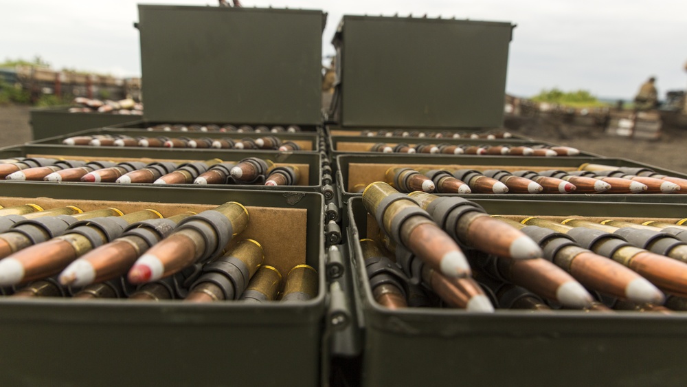 DVIDS - News - CLC-36 trains to be tactically, technically proficient ...