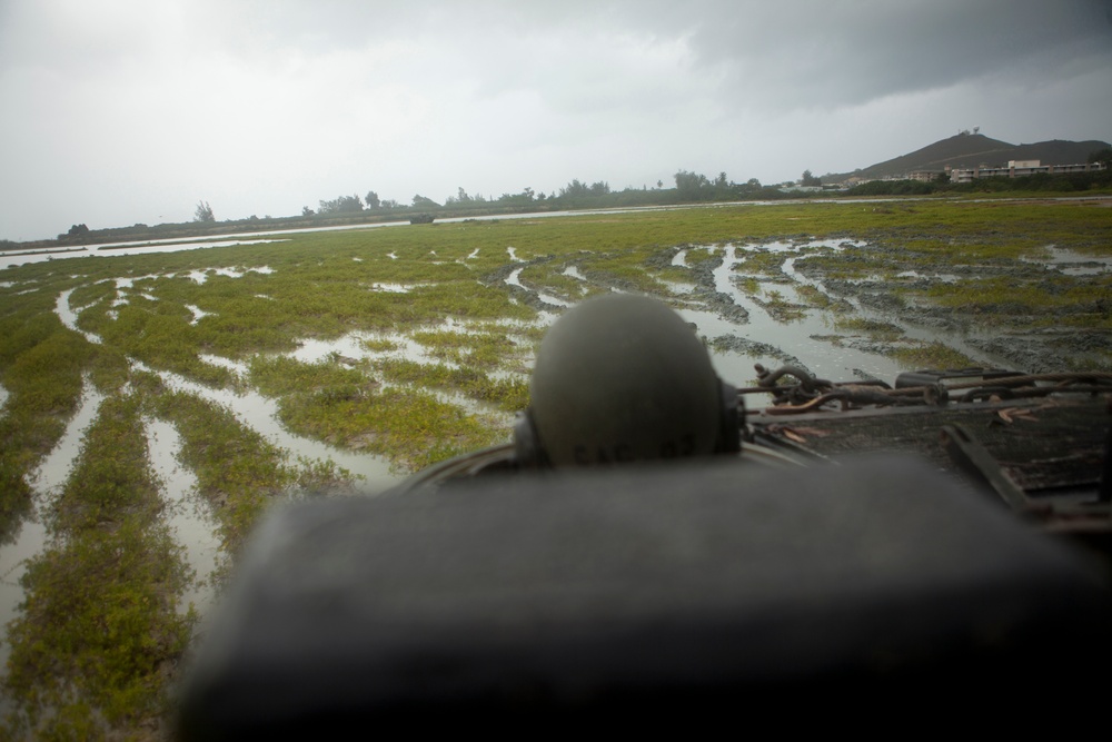 DVIDS - Images - 3rd Marines, Combat Assault Company, Assault Amphibian ...