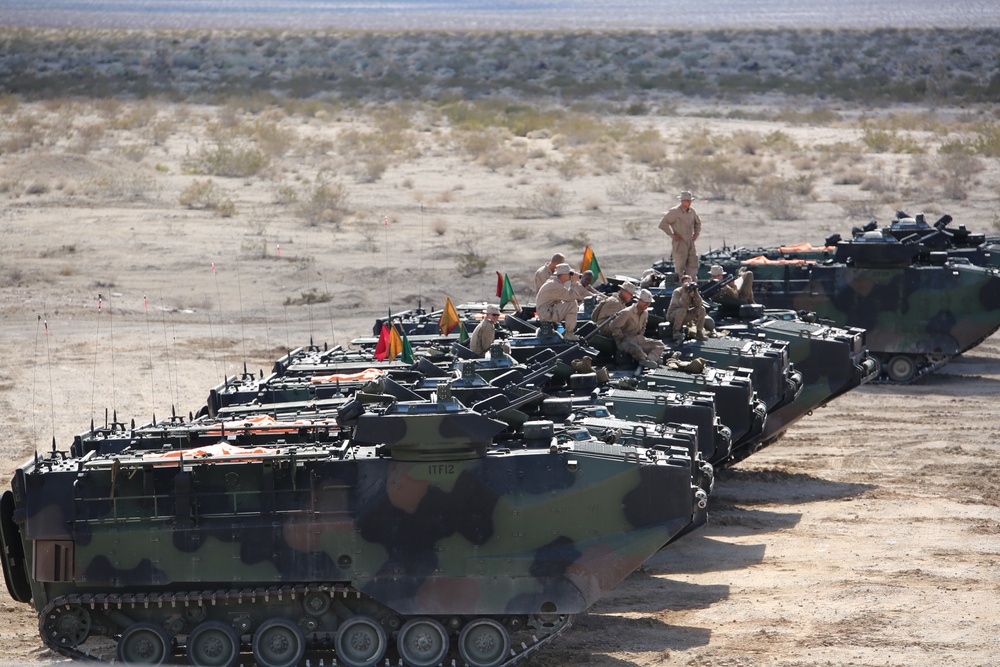 DVIDS - News - Integrated Task Force AAV Platoon begins assessment