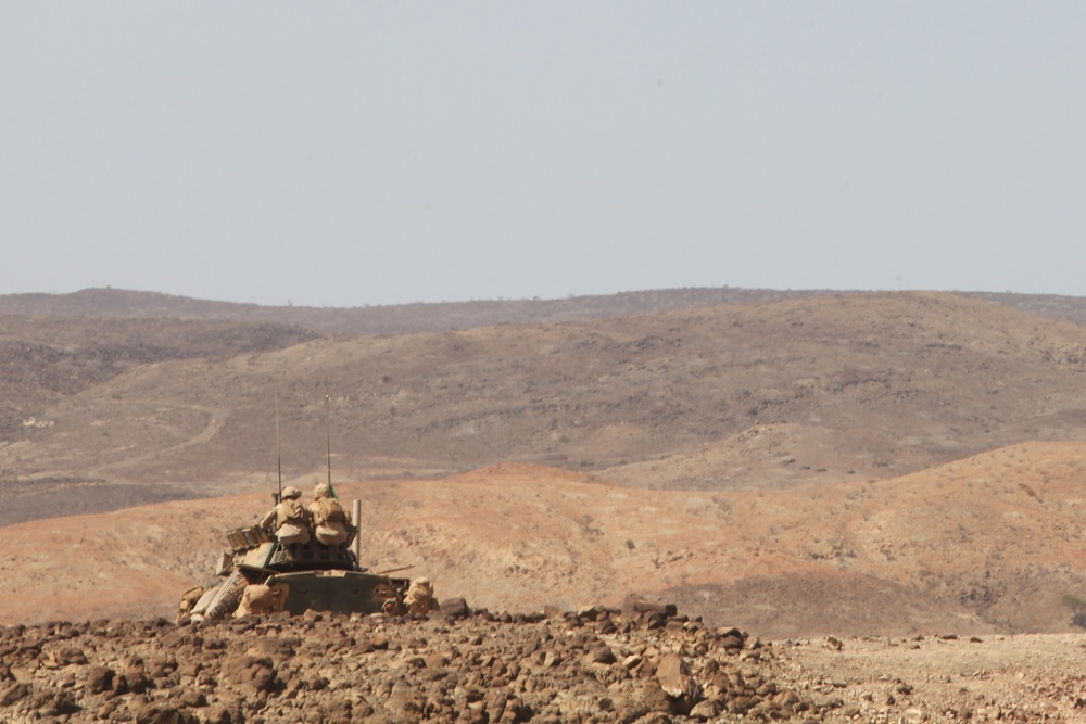 DVIDS - Images - LAR trains in Djibouti [Image 1 of 6]