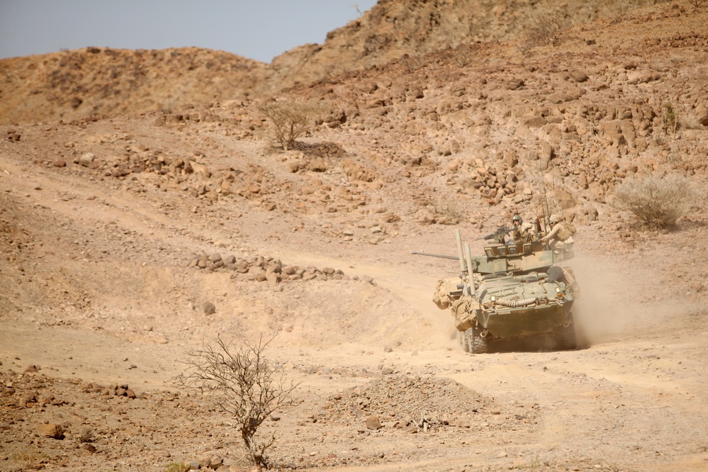 DVIDS - Images - LAR trains in Djibouti [Image 2 of 6]