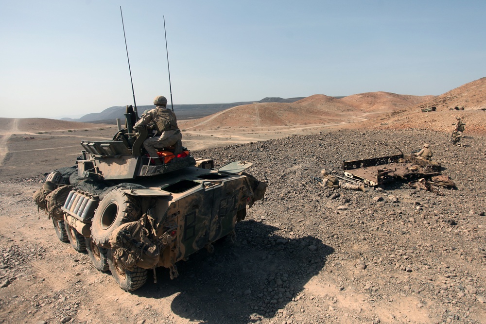 DVIDS - Images - LAR trains in Djibouti [Image 4 of 6]