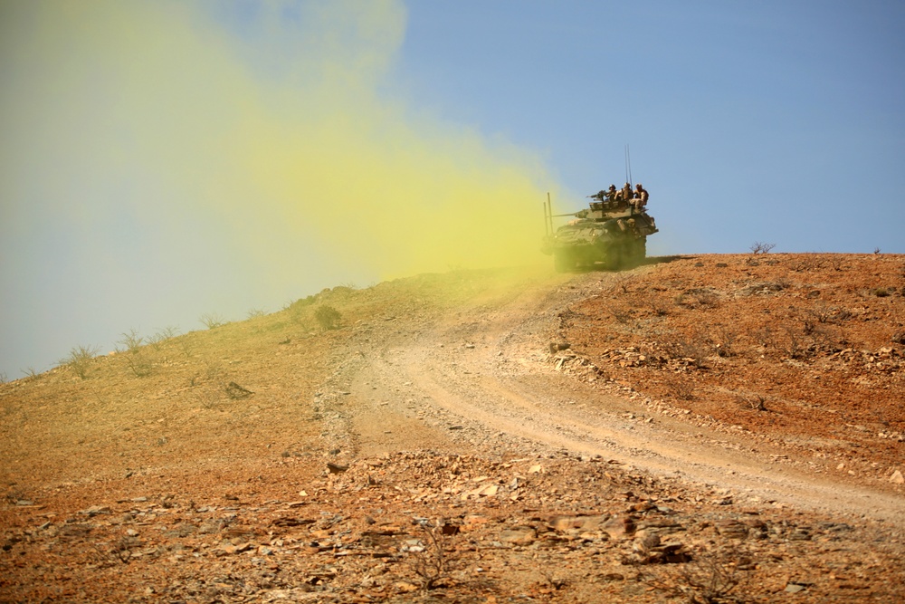DVIDS - Images - LAR trains in Djibouti [Image 6 of 6]