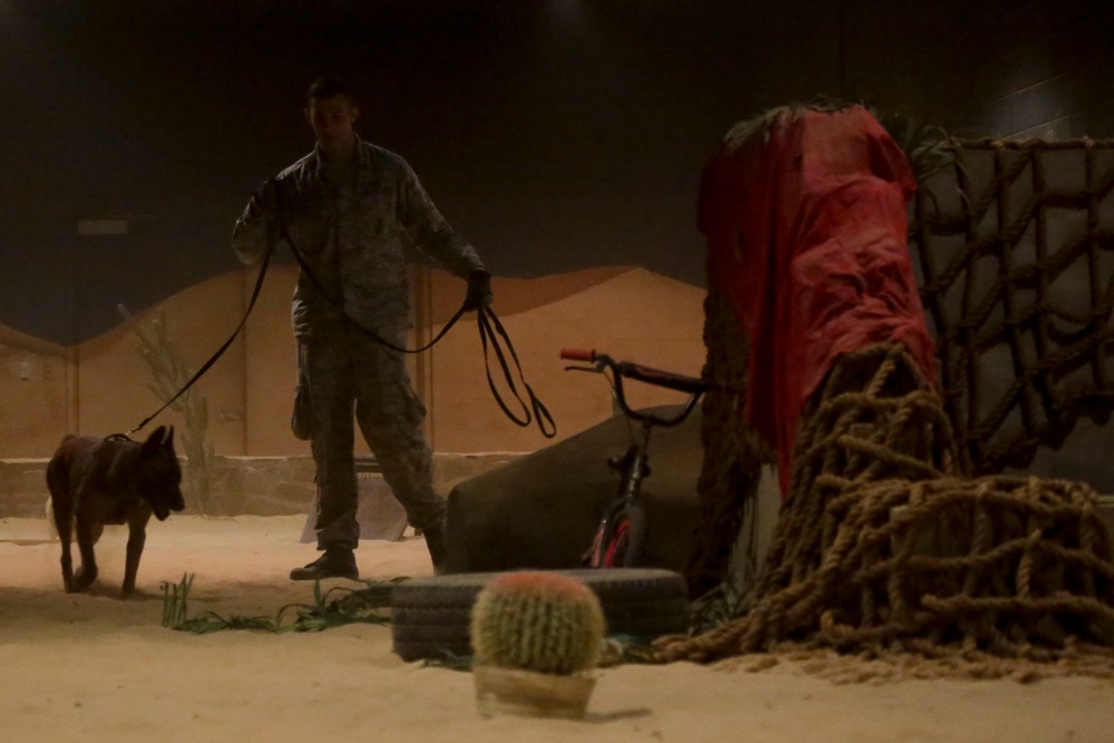 DVIDS - Images - K-9's train at Battle Lab [Image 2 of 6]