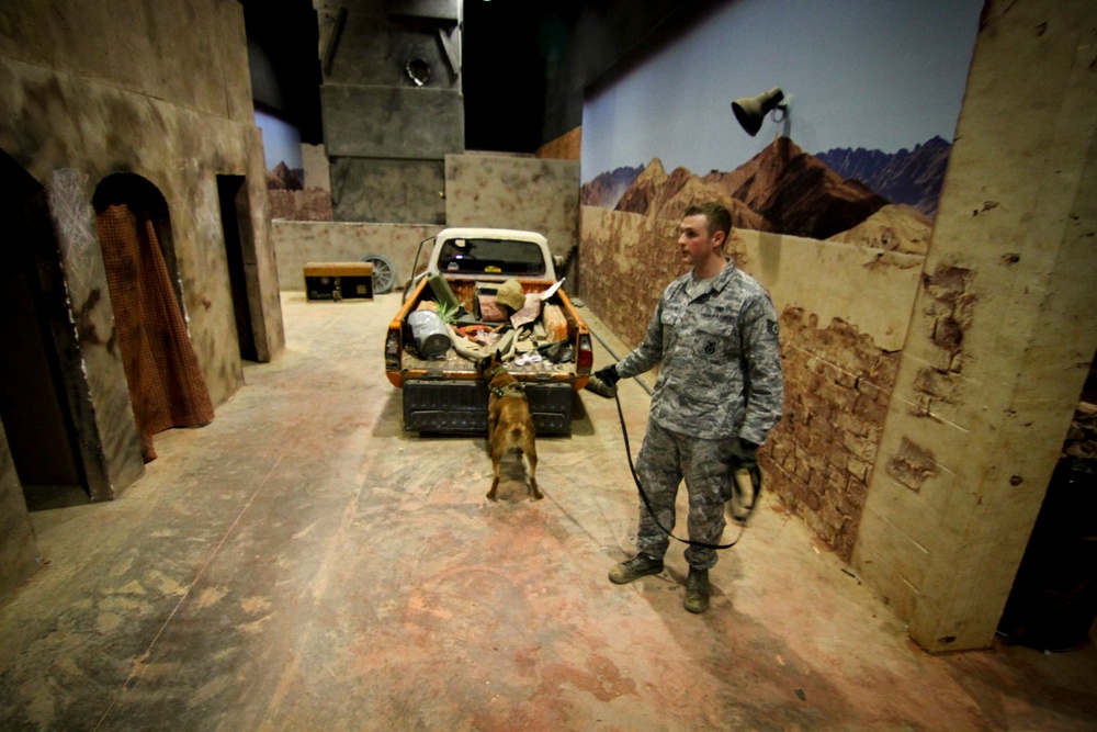 DVIDS - Images - K-9's train at Battle Lab [Image 3 of 6]