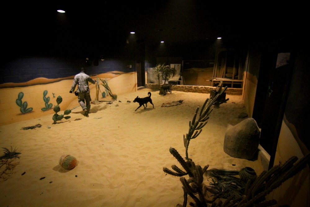 DVIDS - Images - K-9's train at Battle Lab [Image 5 of 6]