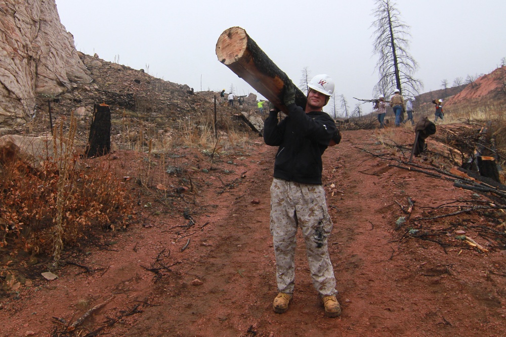 DVIDS - Images - Fort Carson Soldiers aid in burn scar restoration ...