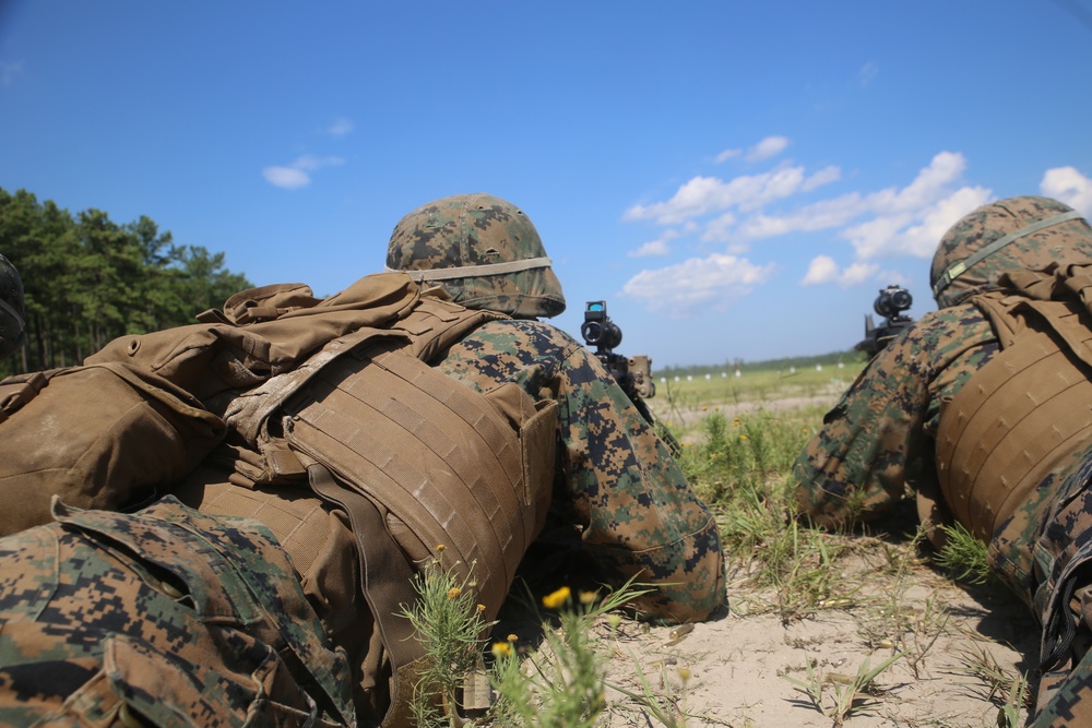 DVIDS - News - 1/8 conducts battle sight zero