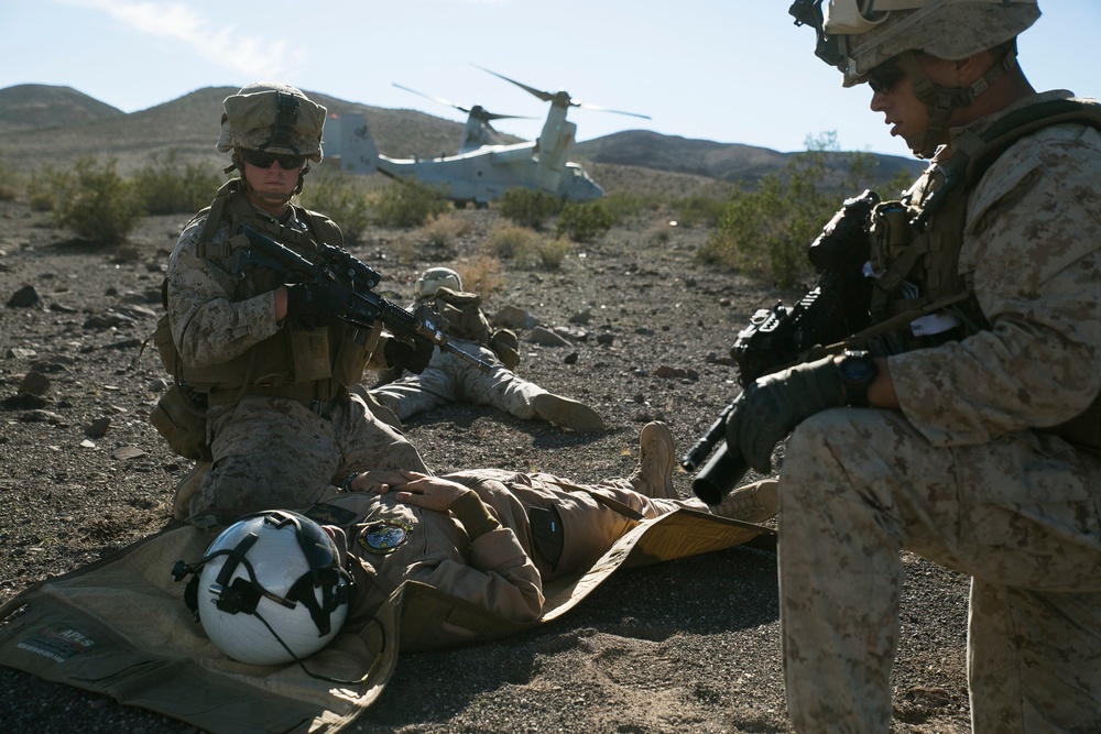 DVIDS - Images - 1/8 Marines participate in Tactical Recovery of ...