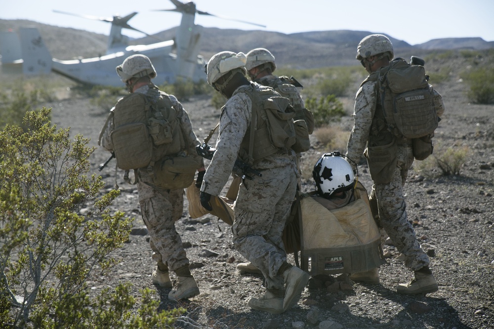 DVIDS - Images - 1/8 Marines participate in Tactical Recovery of ...