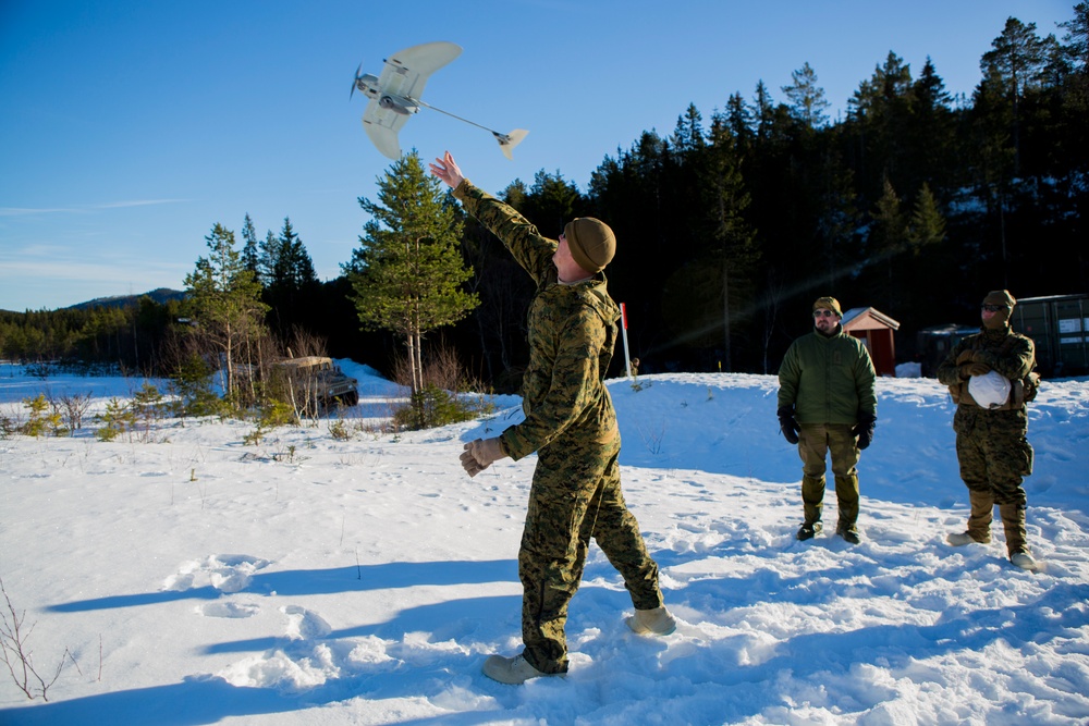 DVIDS - Images - India Company, 3/2 Live Fire in Norway [Image 3 of 13]