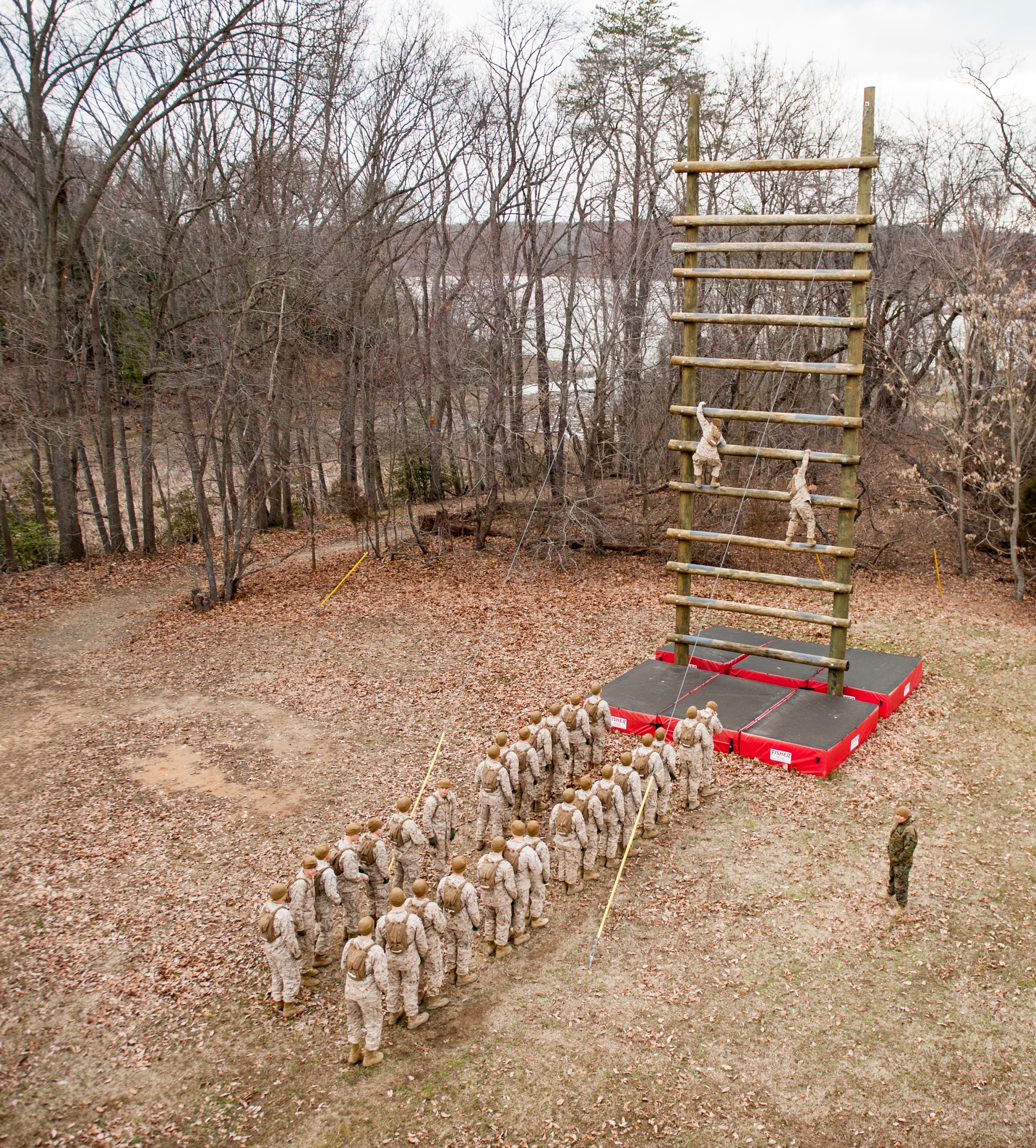 Army Confidence Course Ladder