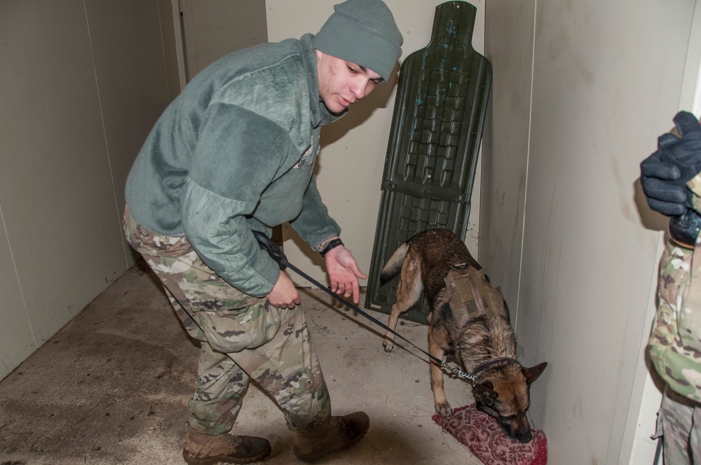 DVIDS - Images - 131st Military Working Dog Detachment K9 Training ...