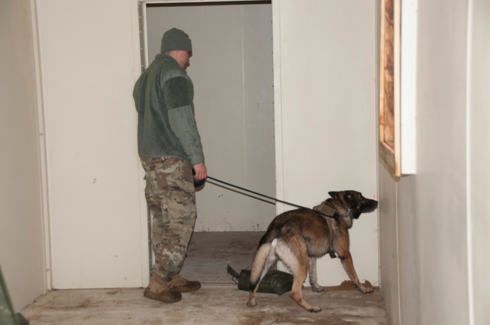 DVIDS - Images - 131st Military Working Dog Detachment K9 Training ...