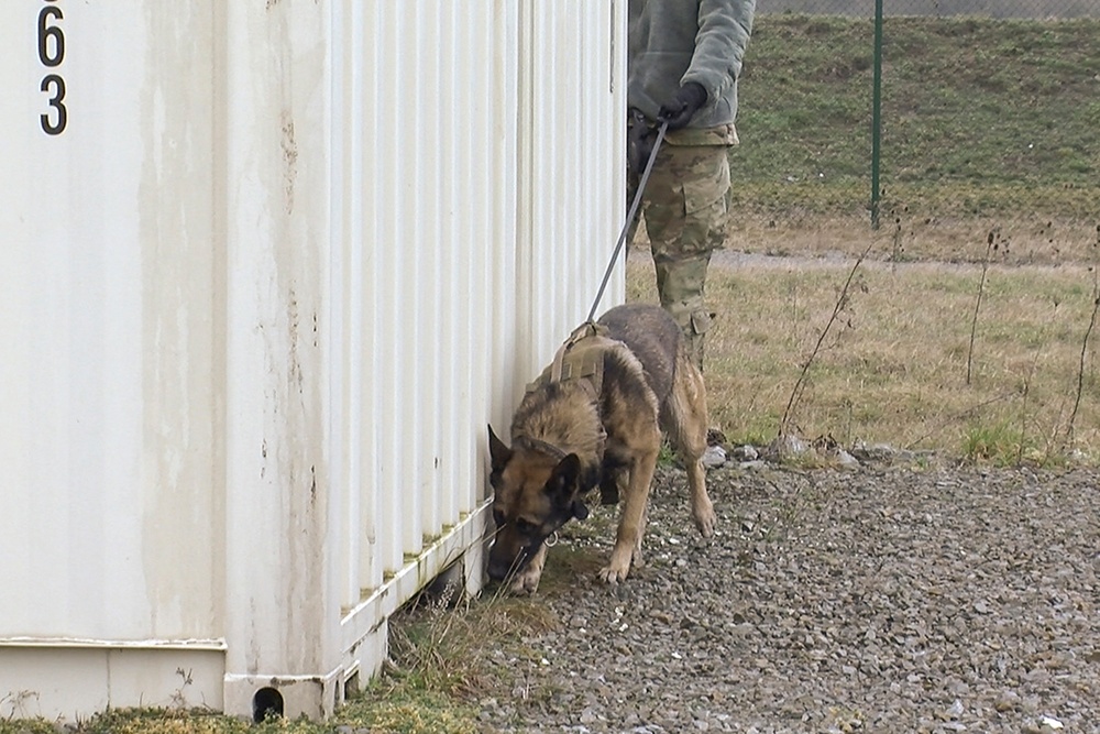 DVIDS - Images - 131st Military Working Dog Detachment K9 Training ...