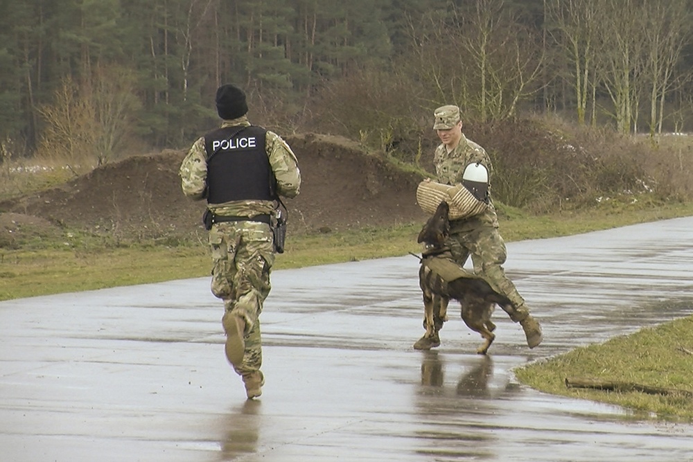 DVIDS - Images - 131st Military Working Dog Detachment K9 Training ...