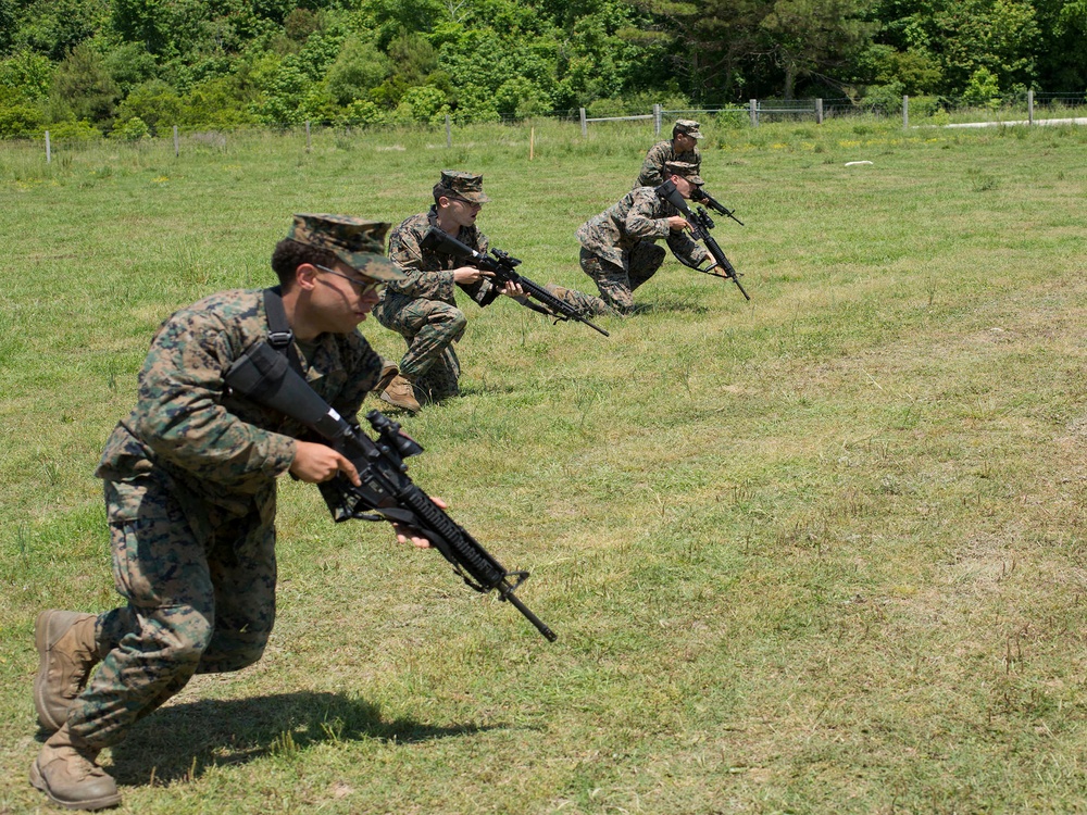 DVIDS - Images - Service members participate in MEFEX 2016 [Image 1 of 5]