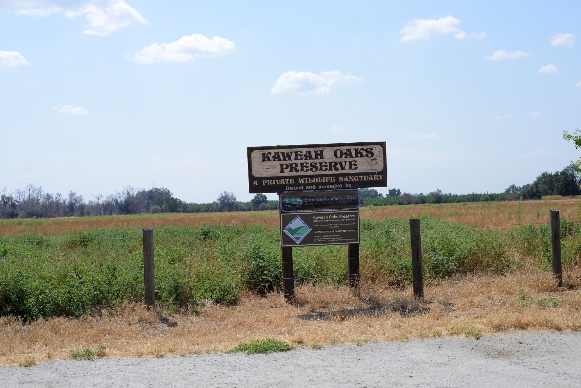 Are Dogs Allowed At Kaweah Preserve