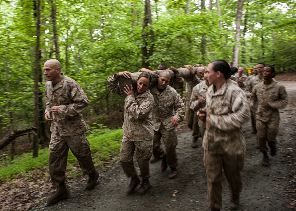 DVIDS - Images - Montford Point Challenge [Image 13 of 23]