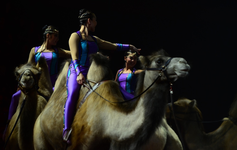 DVIDS - News - Military hosted at special circus show