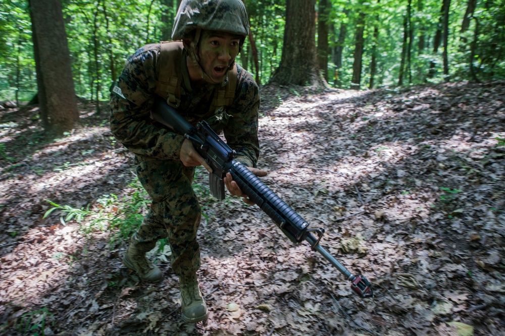 DVIDS - Images - Delta Co. Small Unit Leader Evaluation 1 [Image 13 of 16]