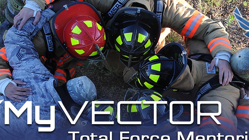 DVIDS - Air Force MyVECTOR