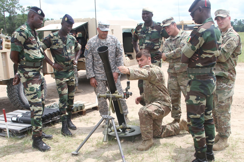 DVIDS - News - 2IBCT training provides tactical insight for Senegalese ...