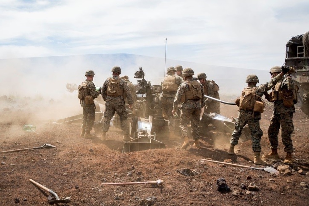 DVIDS - News - Exercise Lava Viper: Direct fire training