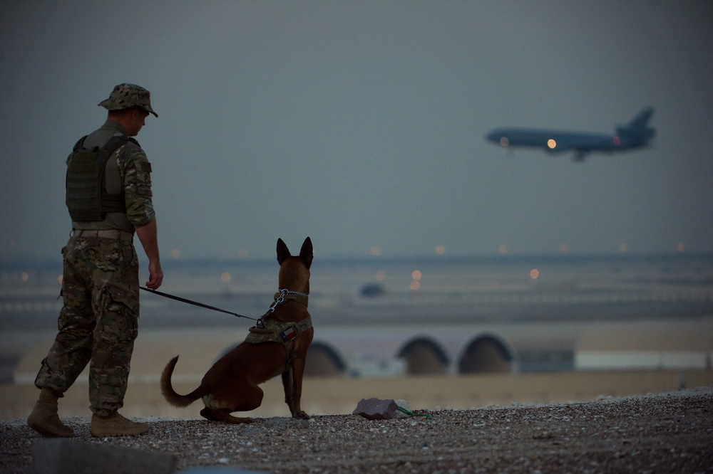 DVIDS - Images - Deployed 380 ESFS Military Working Dogs develop ...