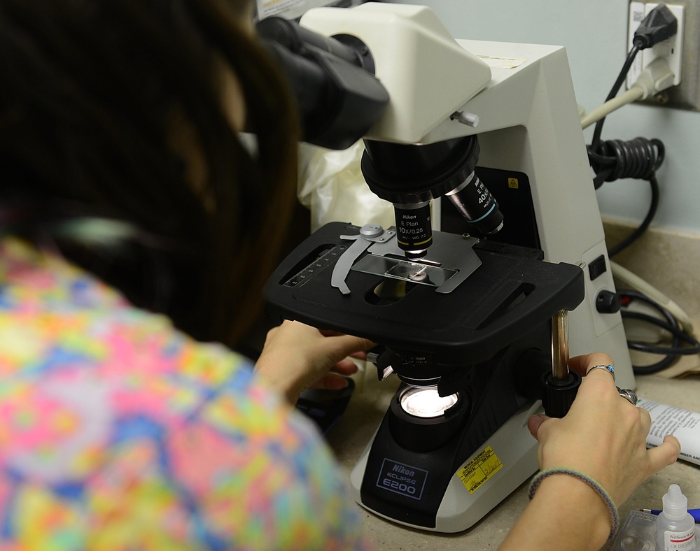 DVIDS - News - Prevention protects pets from pesky diseases