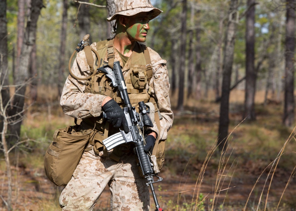 DVIDS - News - 2/8 screens for future snipers