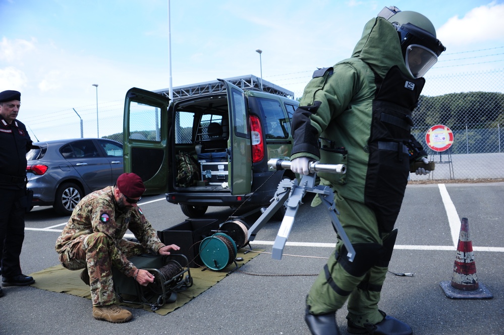 DVIDS - Images - Lion Response Exercise 2017 [Image 6 of 10]