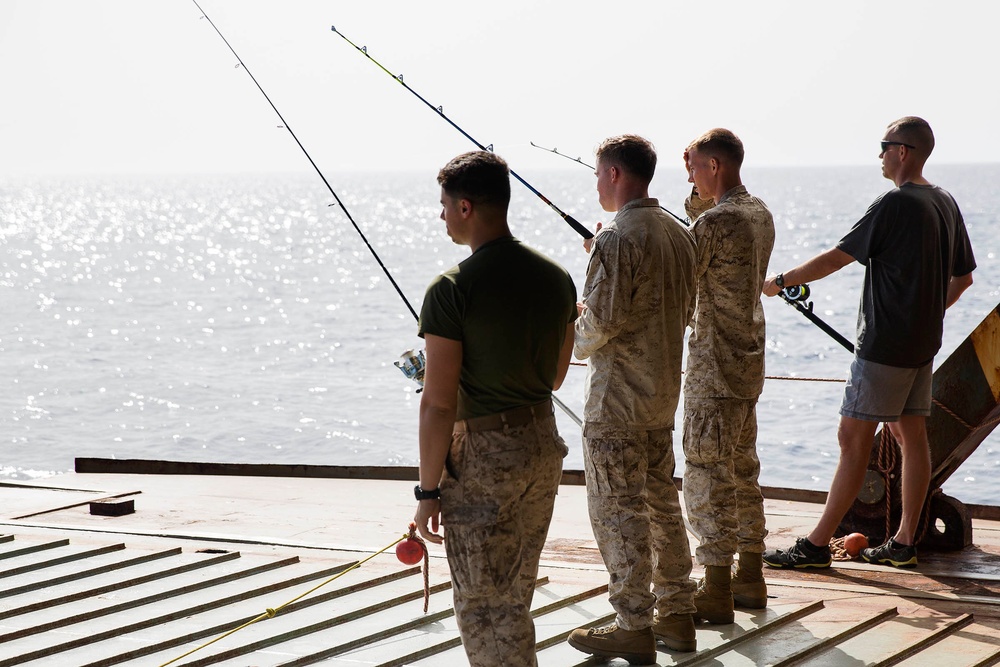 DVIDS - Images - Fish Call [Image 2 of 2]