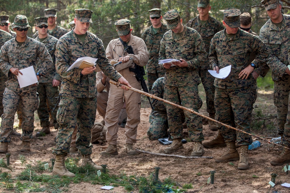 DVIDS - Images - Saber Strike 17 [Image 3 of 19]