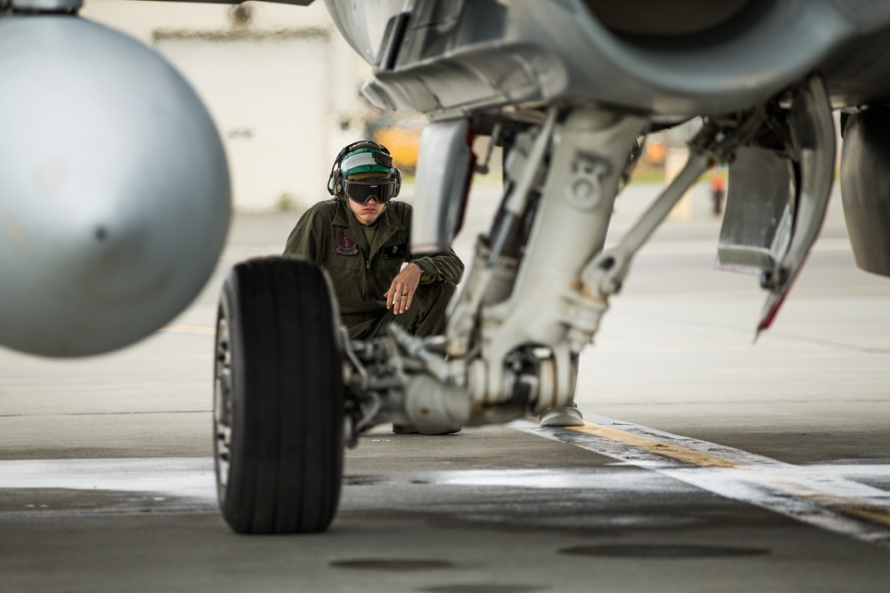 DVIDS - Images - Red Flag-Alaska VMFA-251 Pre-Flight Checks [Image 2 of 12]