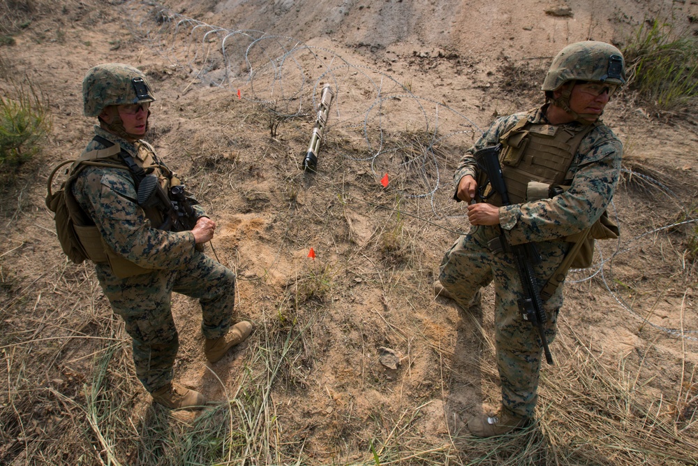 DVIDS - Images - Live Fire [Image 7 of 7]