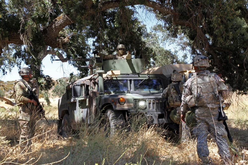 DVIDS - Images - CSTX 91-17-03 [Image 13 of 13]