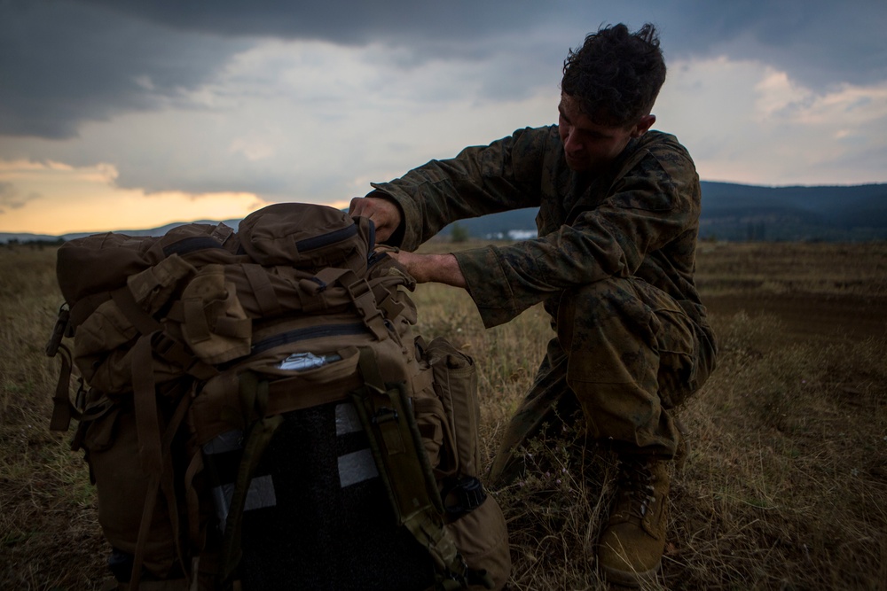 Dvids Images Platinum Lion 17 2 U S Marines While In The Scout