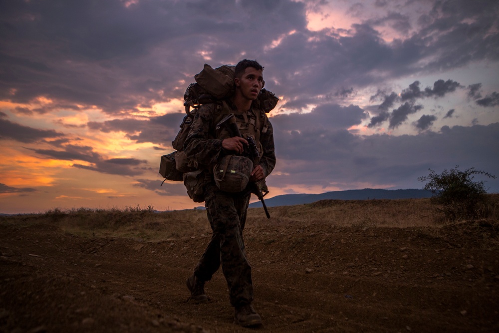 Dvids Images Platinum Lion 17 2 U S Marines While In The Scout