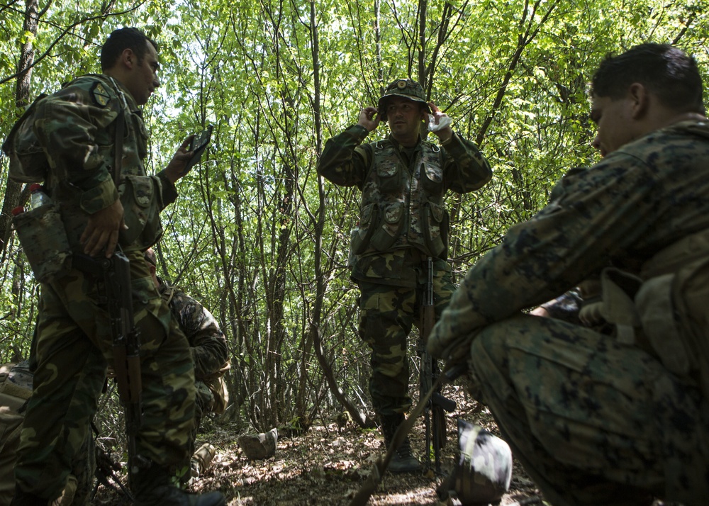 DVIDS - Images - Platinum Lion 17.2: Patrolling Exercise with ...