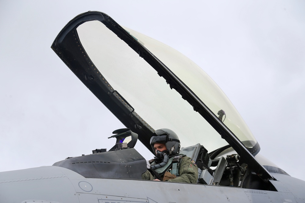 DVIDS - Images - Formidable Shield 2017 [Image 4 of 27]