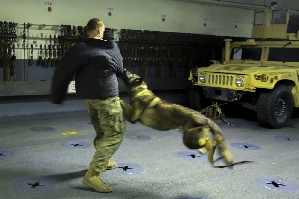 DVIDS - Images - Devil dogs go to work aboard USS Iwo Jima [Image 1 of 5]