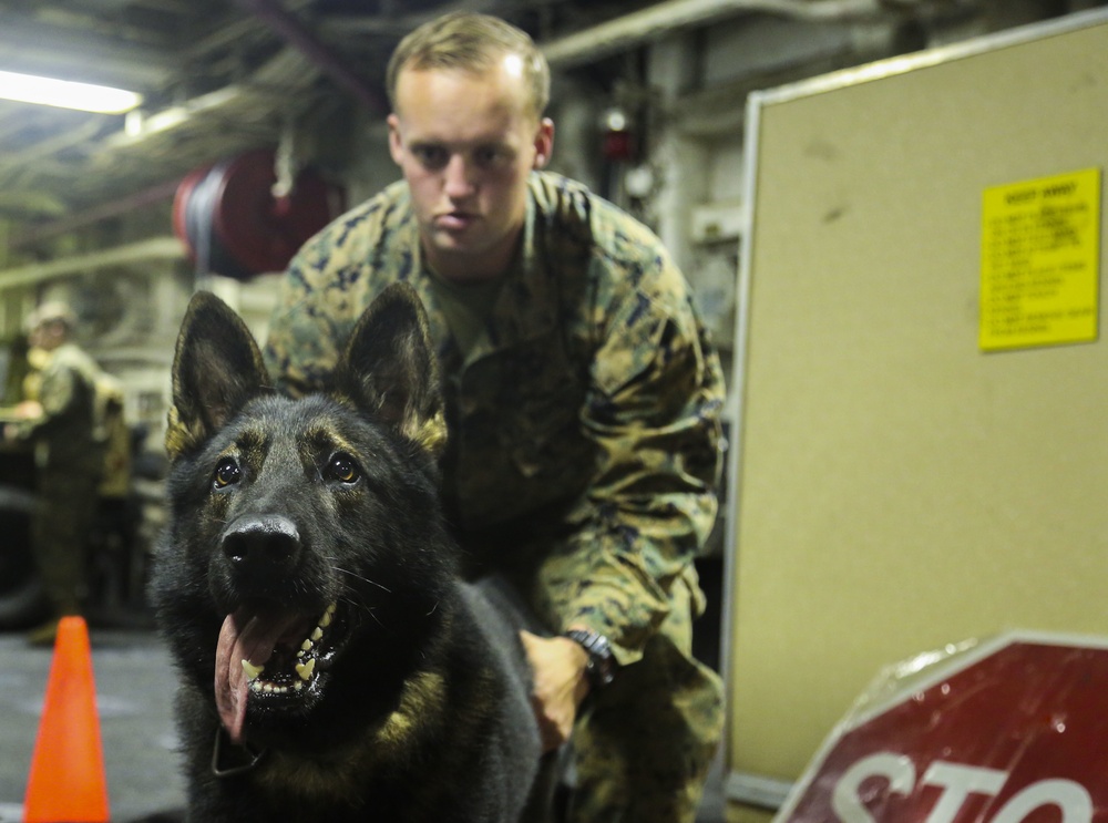DVIDS - Images - Devil dogs go to work aboard USS Iwo Jima [Image 4 of 5]