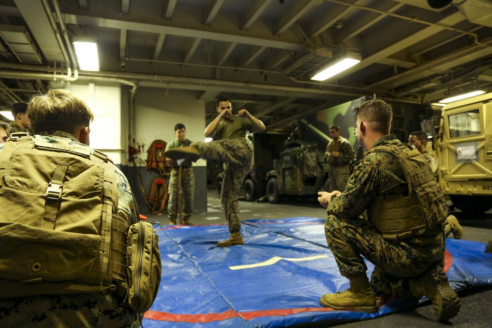 DVIDS - Images - Marines Refine MCMAP skills aboard USS Iwo Jima [Image 1 of 5]